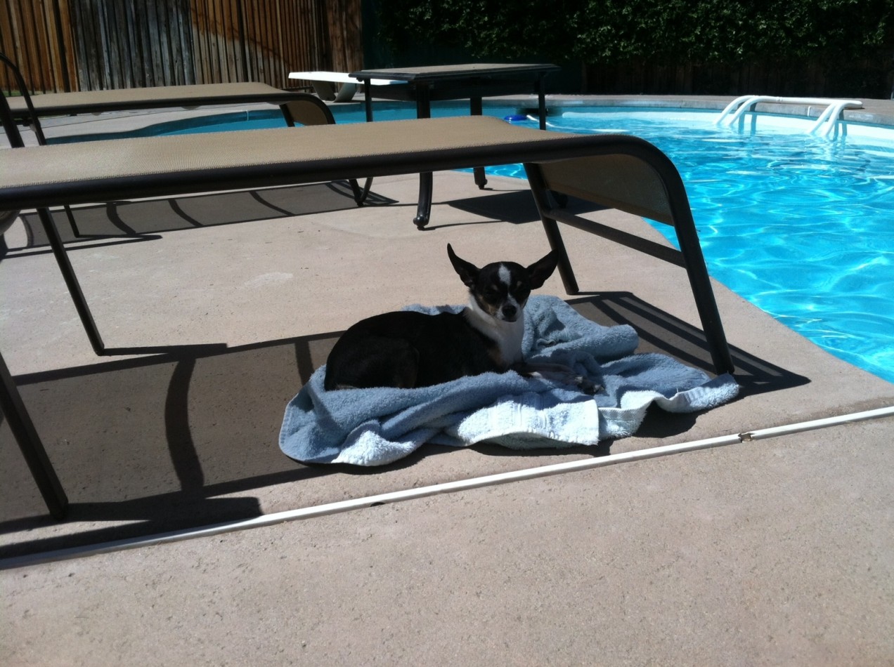 TGIF Archives - The Lab Bunny